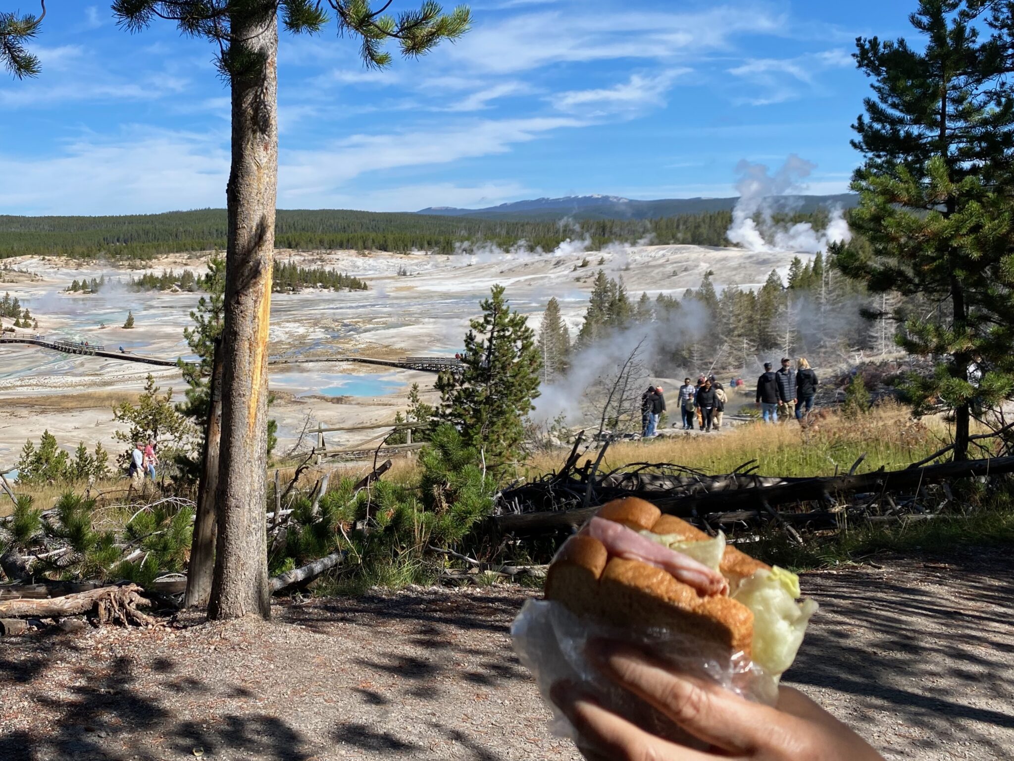 米北西部06: イエローストーン国立公園北部の間欠泉・温泉めぐり | 一生楽しむ旅