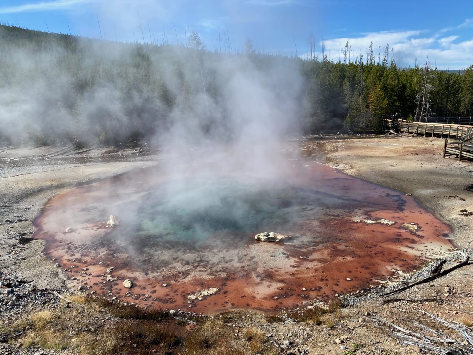 米北西部06: イエローストーン国立公園北部の間欠泉・温泉めぐり | 一生楽しむ旅