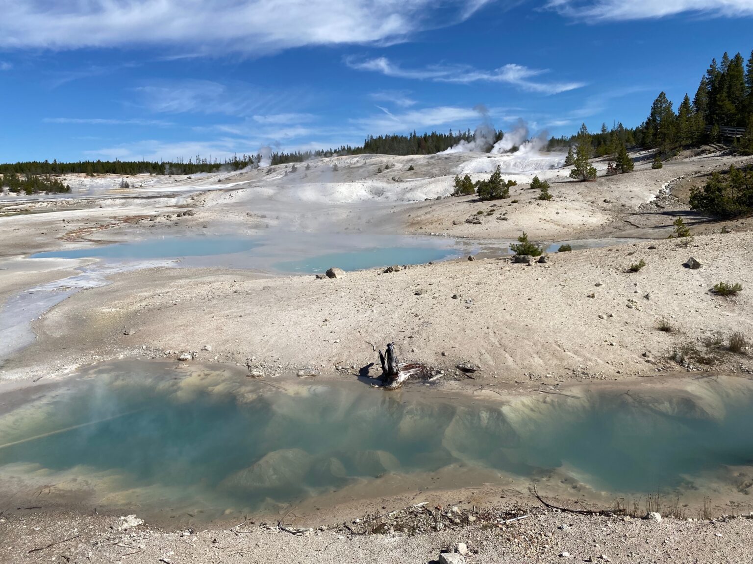 米北西部06: イエローストーン国立公園北部の間欠泉・温泉めぐり | 一生楽しむ旅